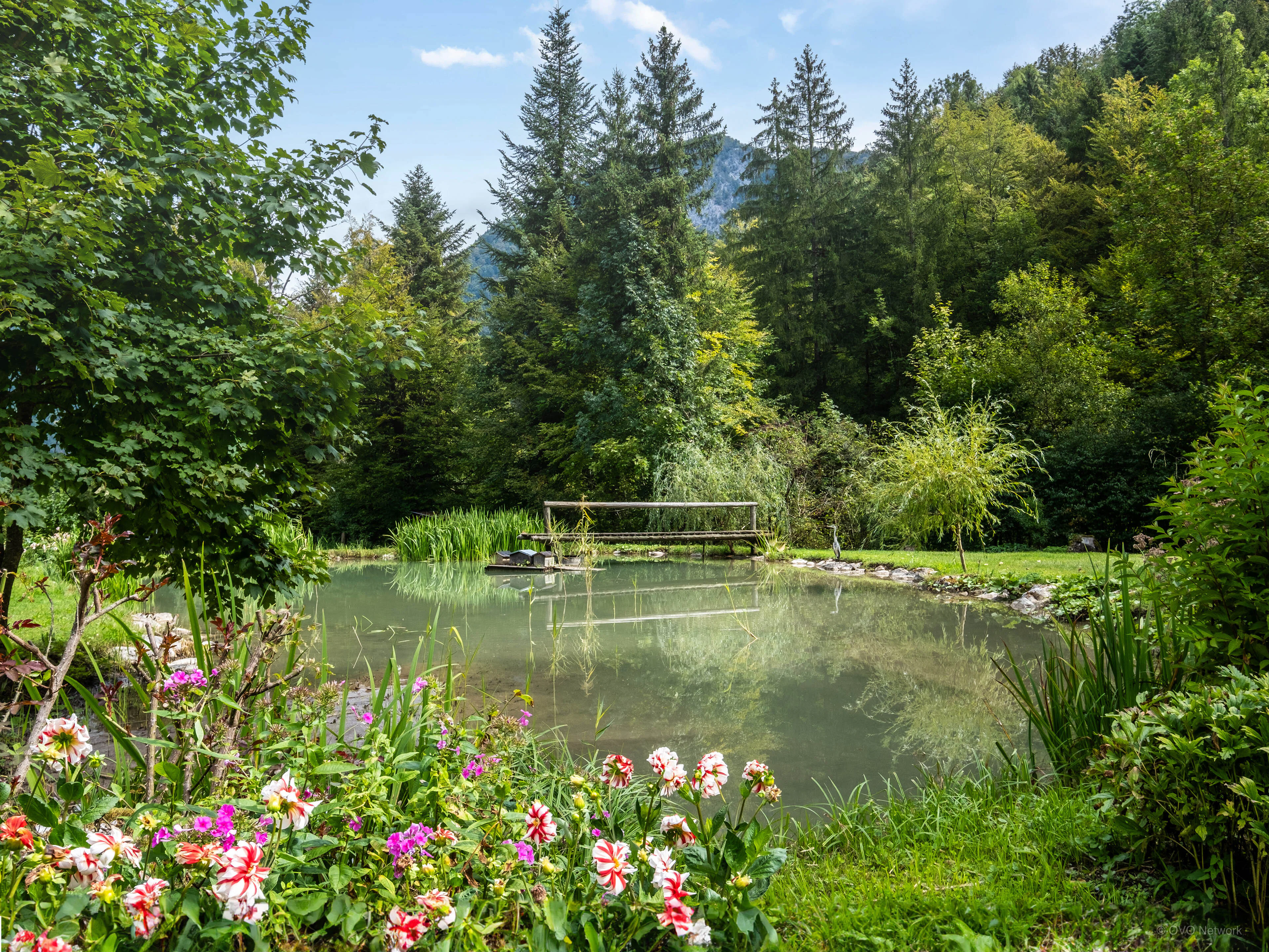 La Ferme du Cortet - BEST PRICES / Official Site